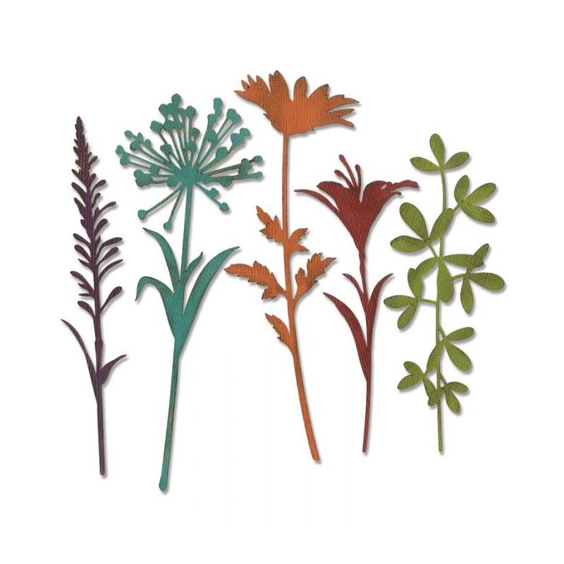 Sizzix Thinlits Die Set 5PK Wildflower Stems #2, 23.95 CHF