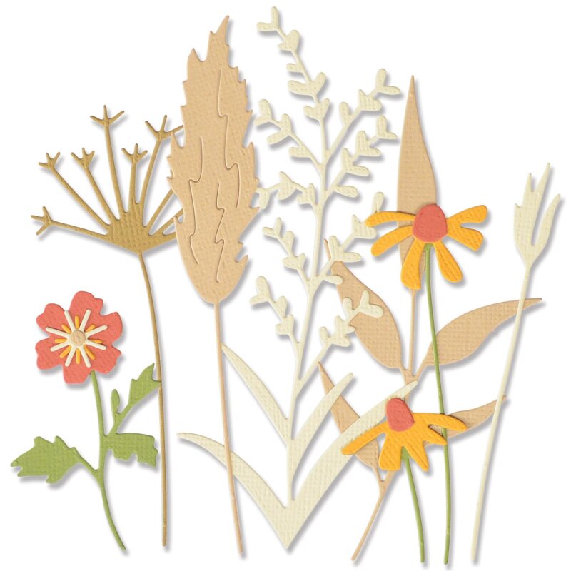 Sizzix Thinlits Die Set 8PK Delicate Autumn Stems by Olivia Rose, 23.95 CHF