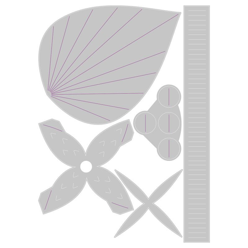 Sizzix Thinlits Die Set 5PK Ornamental Stems by Olivia Rose, 23.95 CHF